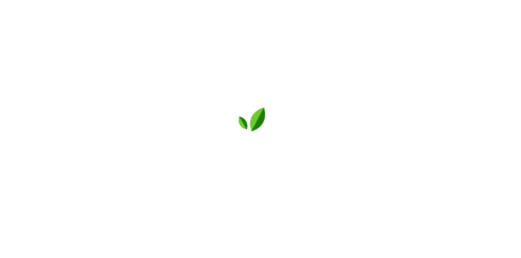 Cans - Bel Beverages